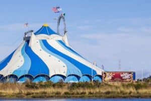 The Unique World of Circus Sideshow Acts - Whizzherald